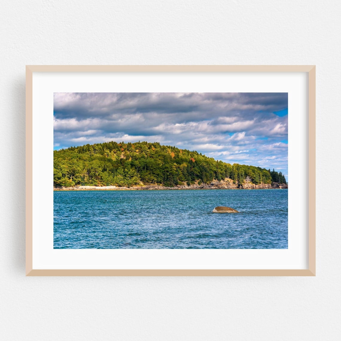 Bar Harbor Maine Forest Art Nature Scenic Coastal Fine Art Landscape ...