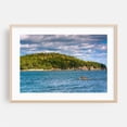 Bar Harbor Maine Forest Art Nature Scenic Coastal Fine Art Landscape ...
