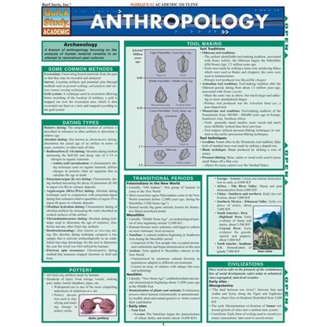 BarCharts- Inc. Anthropology - Walmart.com