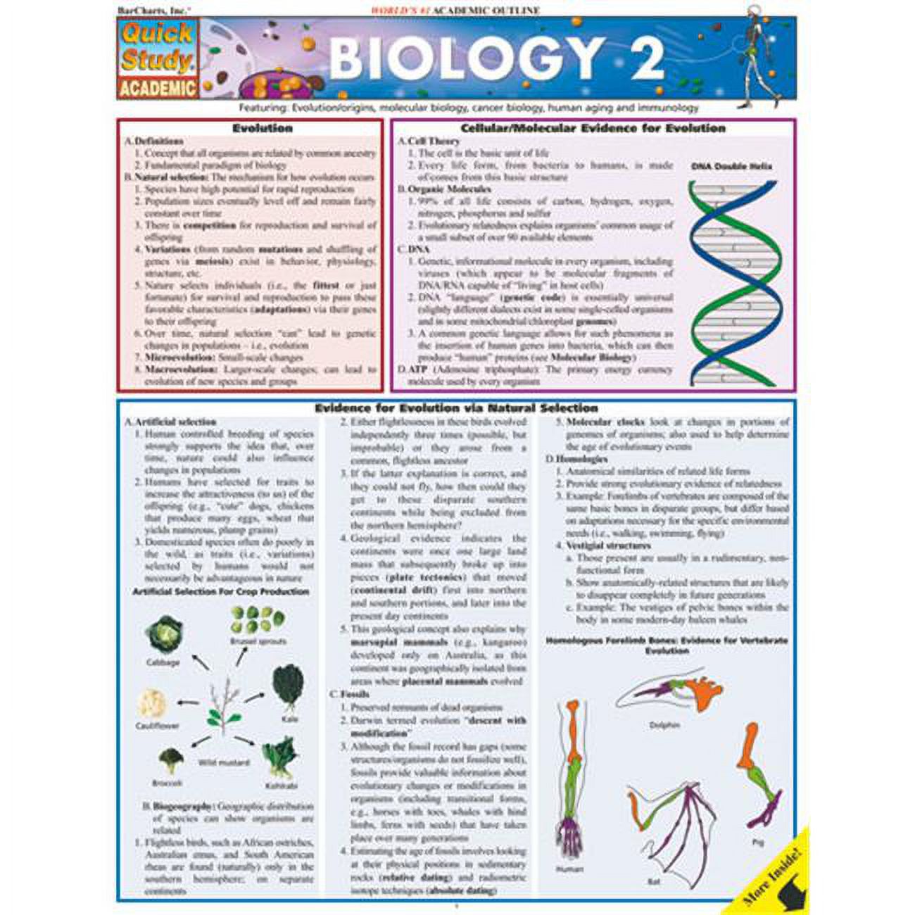 BarCharts- Inc. Biology 2 - 6-page Laminated Guide - Walmart.com