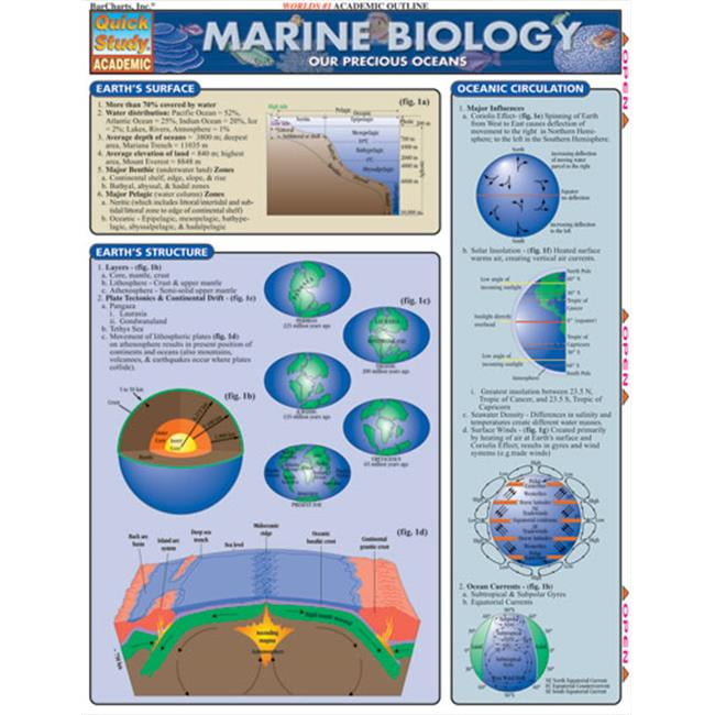 BarCharts- Inc. Marine Biology Guide - Multi-colored laminated ...