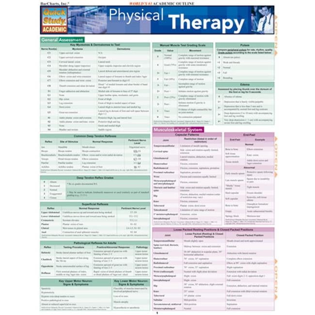 BarCharts- Inc. Physical Therapy - Walmart.com