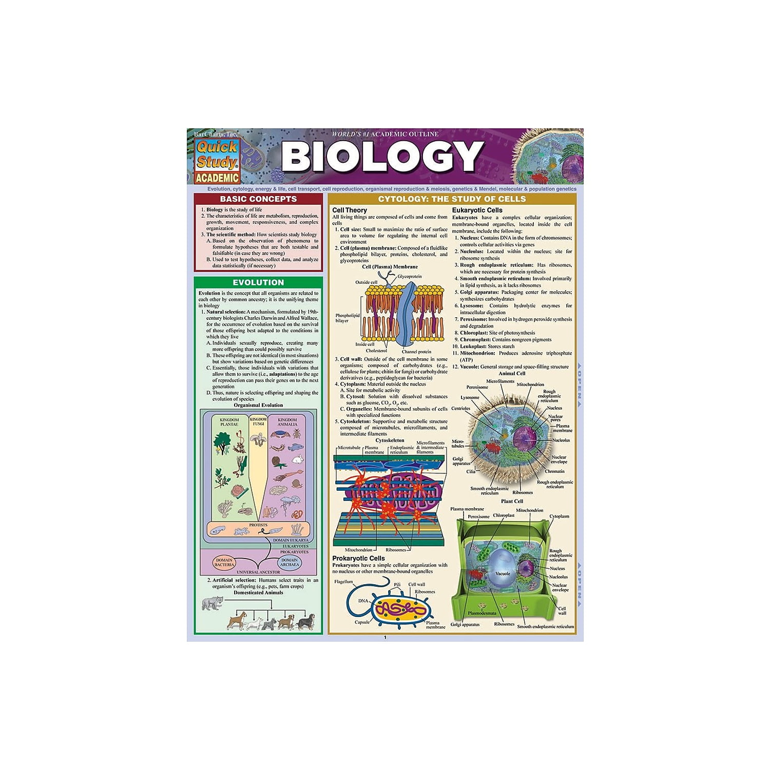 BarCharts Inc. QuickStudy Biology Reference Set (9781423230267 ...