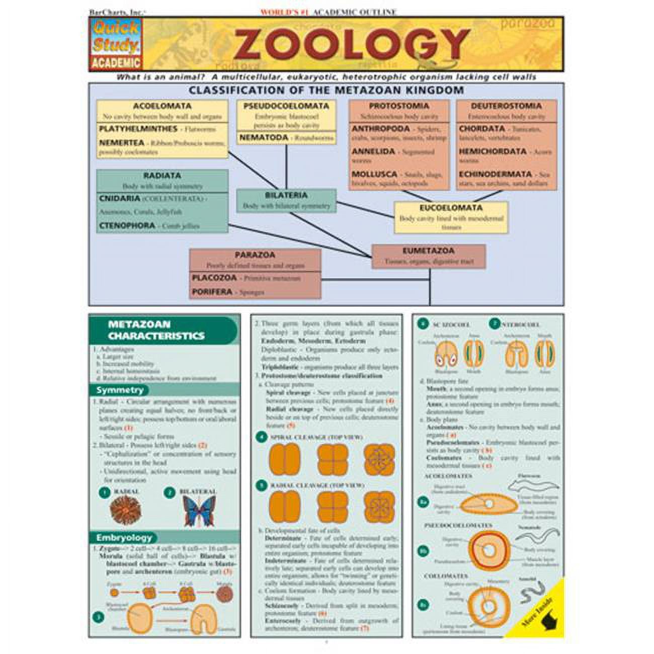 BarCharts- Inc. Zoology - Walmart.com