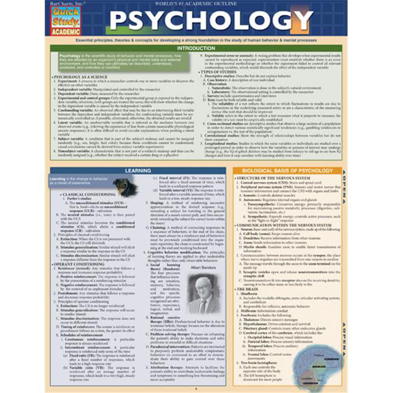 BarCharts Psychology Quickstudy Easel - Walmart.com