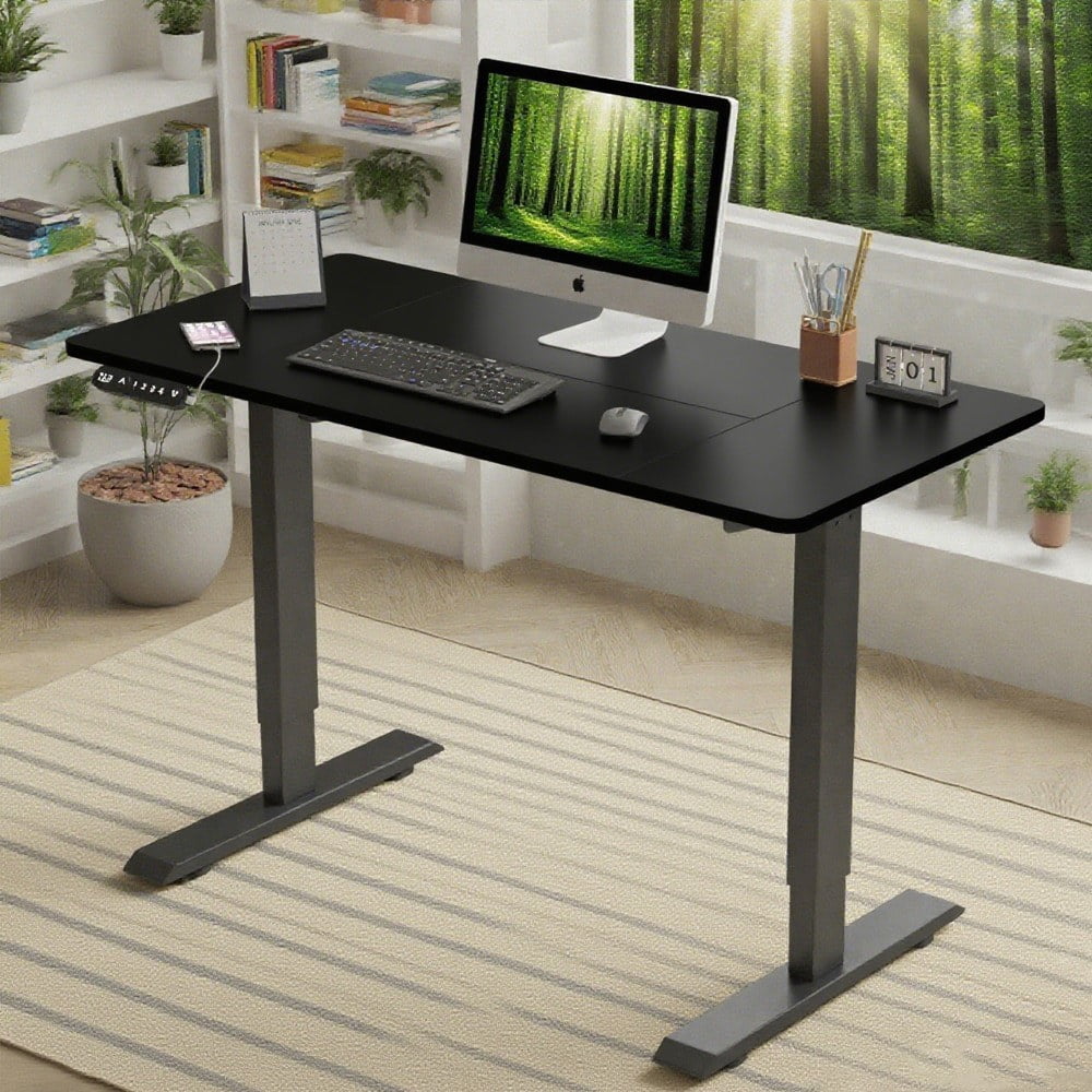 Barara King 55" Electric Height Adjustable Standing Desk with Black ...