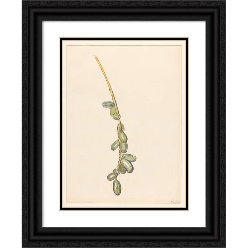Barbara Elisabeth van Houten 11x14 Black Ornate Wood Framed Double ...