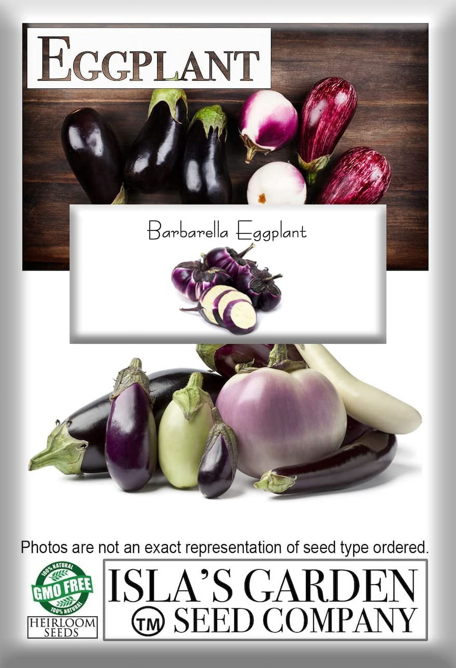 Barbarella Eggplant Seeds for Planting, 30+ Seeds Per Packet Non GMO ...