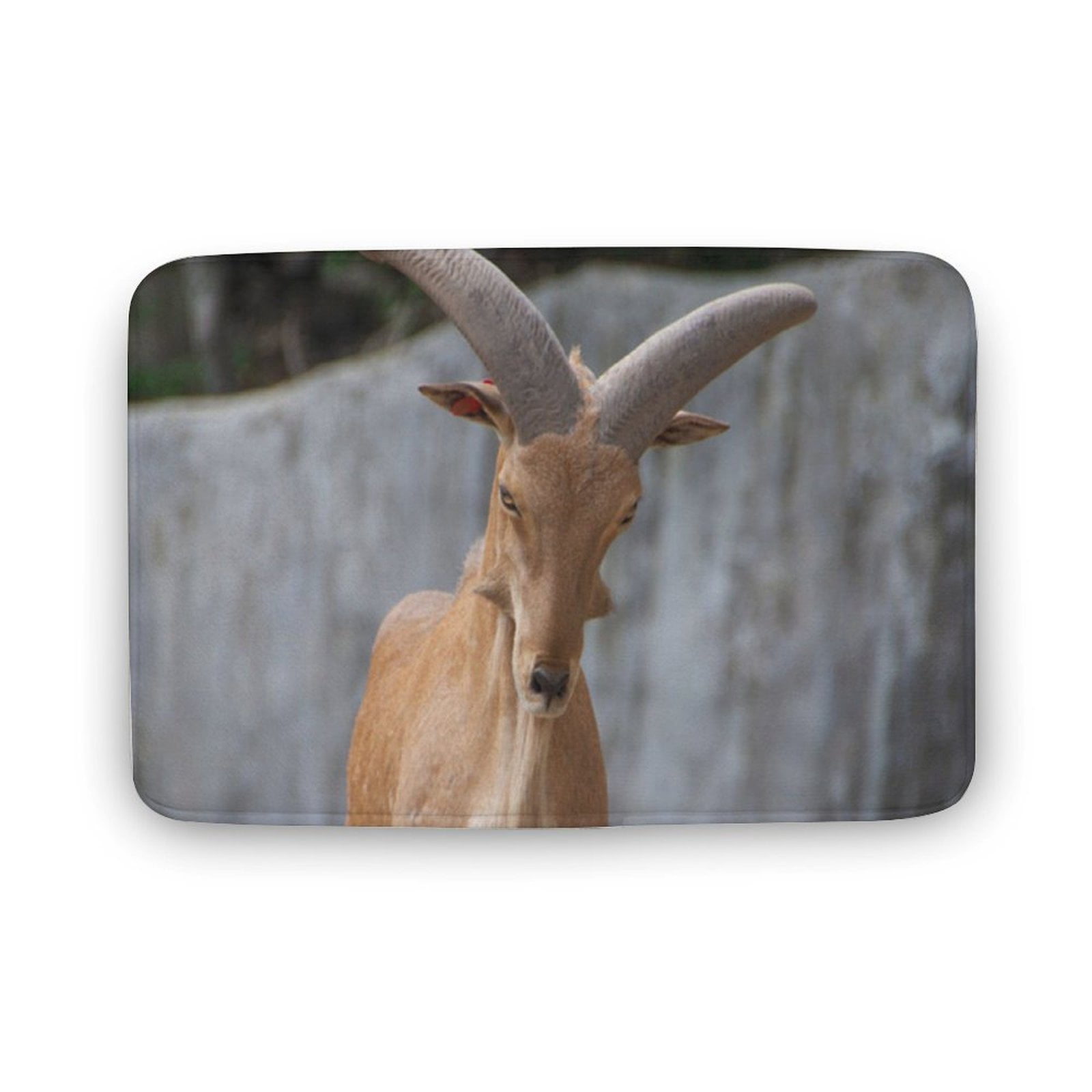 Barbary Sheep Biological Name As Ammotragus Lervia Bathroom Rugs Bath ...