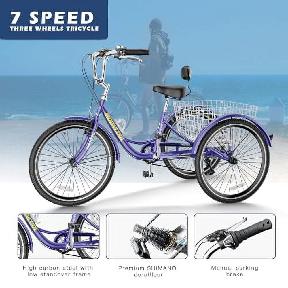 Barbella Adult Tricycles, 7 Speed Adult Trikes 20/24/26 inch 3 Wheel ...