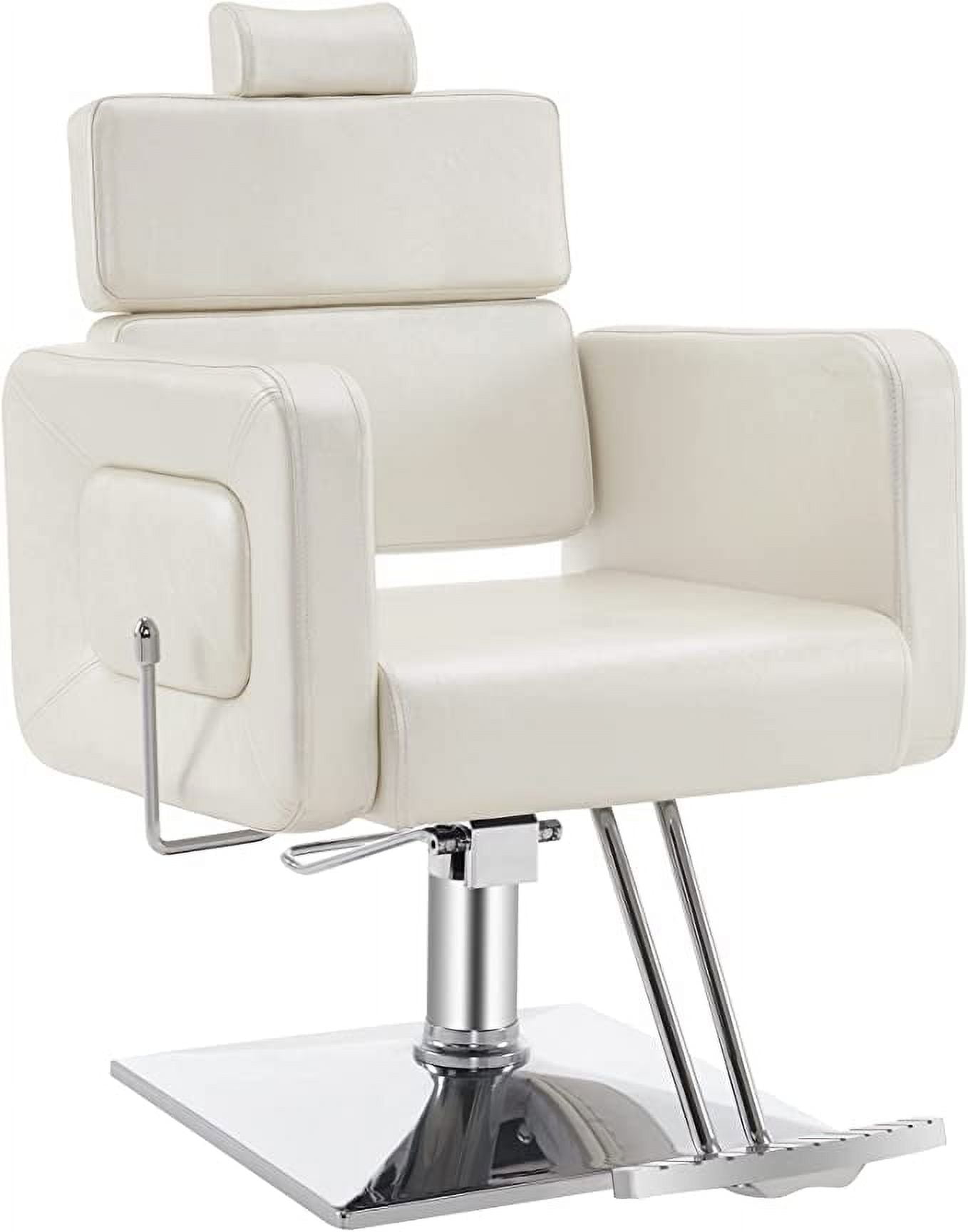 BarberPub Classic Hydraulic Barber Chair Recline Salon Beauty Spa Hair ...