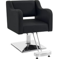 BarberPub Classic Styling Salon Chair Hydraulic Barber Chair Beauty ...