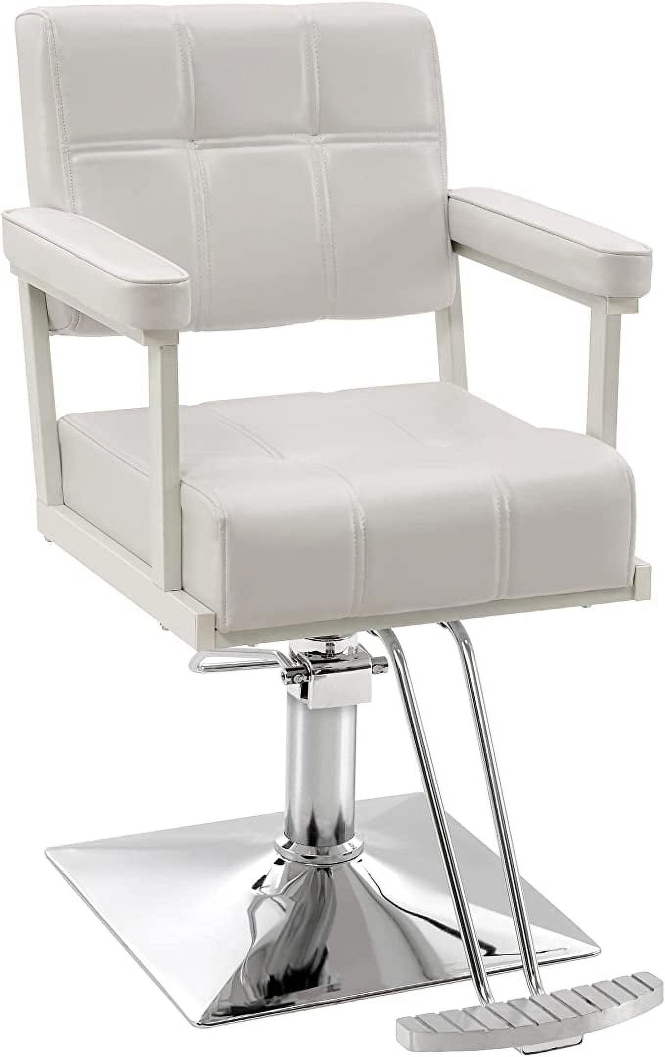BarberPub Classic Styling Salon Chair Hydraulic Barber Chair Beauty ...