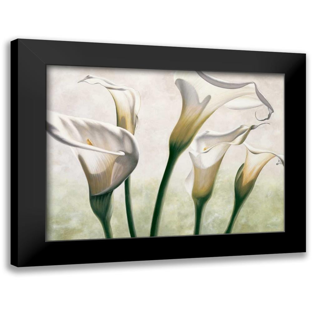 Barberini, Eva 24x19 Black Modern Framed Museum Art Print Titled - Luce ...