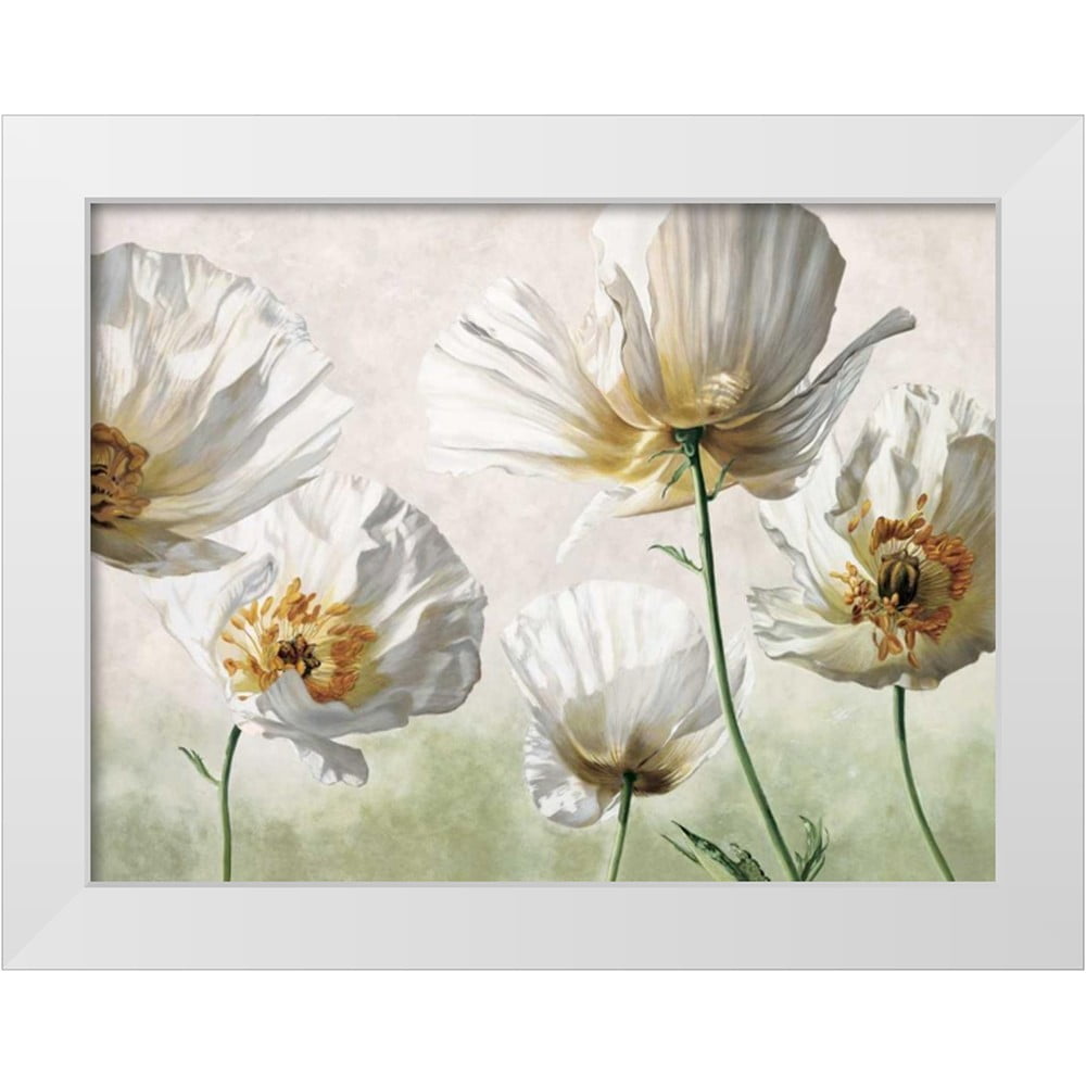 Barberini, Eva 24x19 White Modern Wood Framed Museum Art Print Titled ...