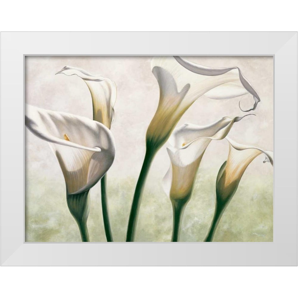 Barberini, Eva 32x25 White Modern Wood Framed Museum Art Print Titled ...