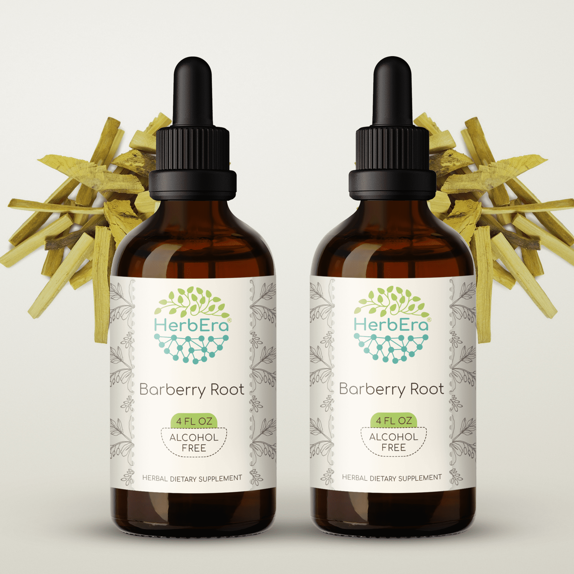 Barberry Root Alcohol-FREE Herbal Extract Tincture, Super-Concentrated ...