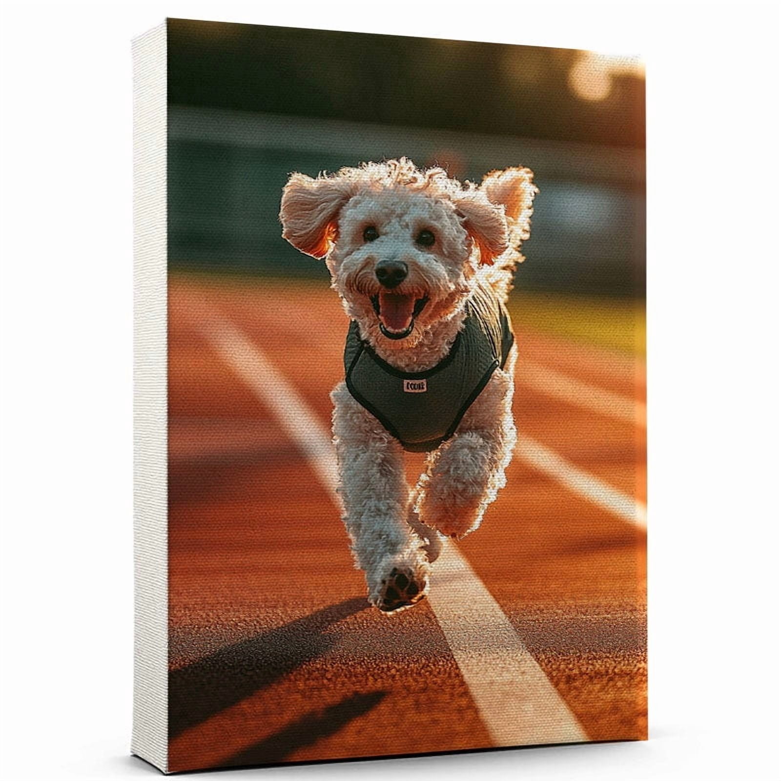 Barbet Cute Dog Running Stretched Canvas Size 8x12 – Retro Barbet Dog ...