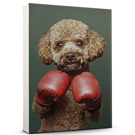 Barbet Dog Stretched Canvas Size 8x12 Boxing Canvas – Funny Barbet Dog ...