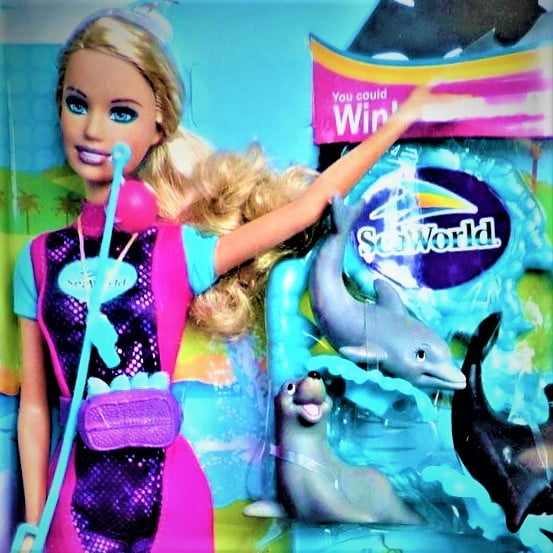 Barbie I Can Be: Sea World Trainer Play Set - Walmart.com