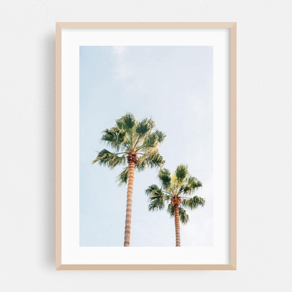 Barcelona Catalonia Spain Palm Tree Tropical Beach Fine Minimalist ...
