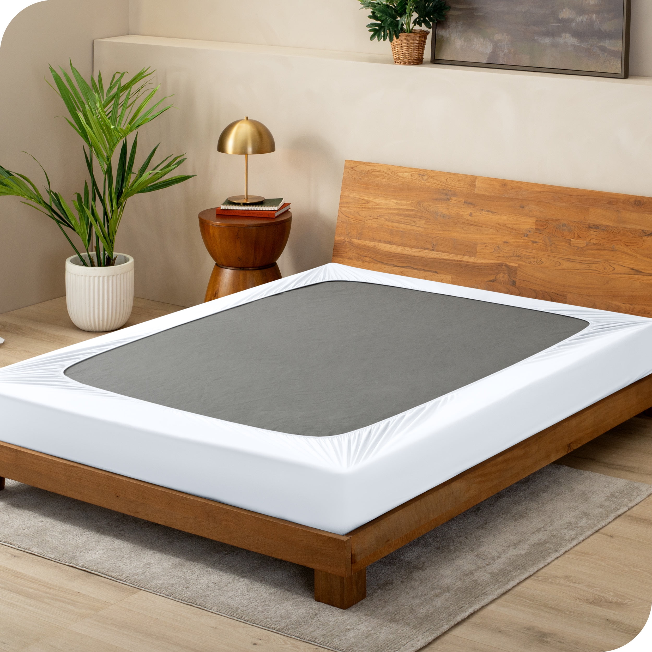 Bare Home Box Spring Cover - Microfiber - 4-Way Stretch (Queen, White ...