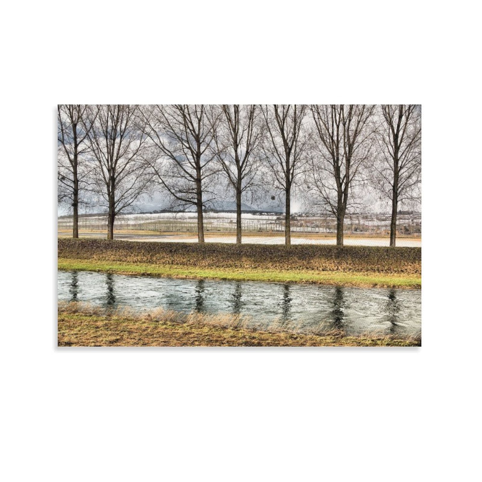 Bare Trees Mirrored In A Calm River, Beneath A Clear Sky Poster ...