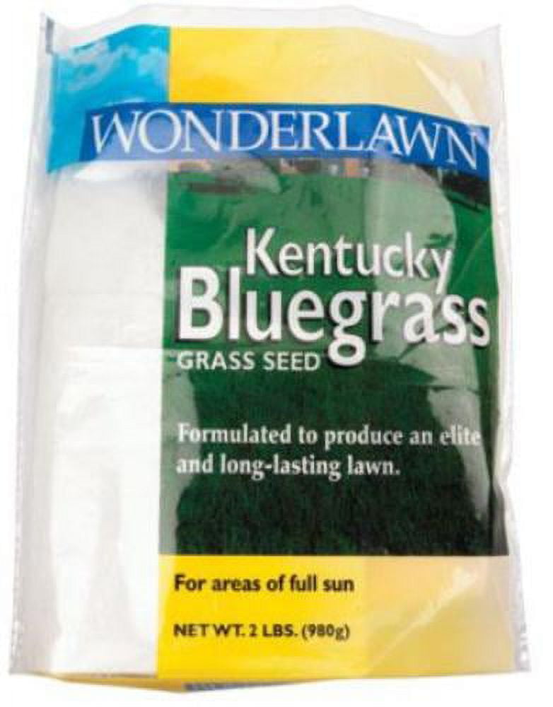 Barenbrug KBGB2ACE00 Kentucky Blue Grass Seed, 2 lbs - Walmart.com