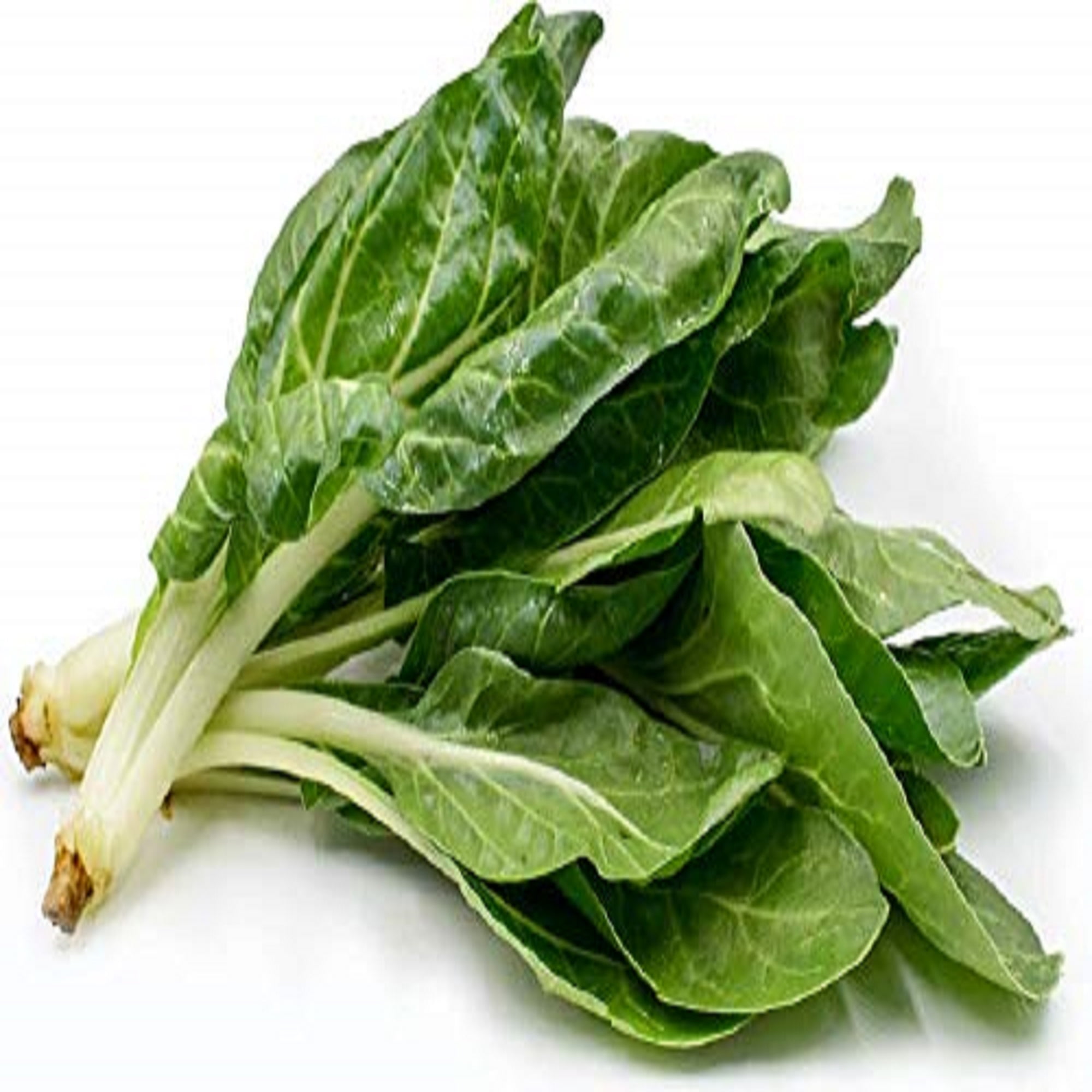 Country Creek, Barese Dark Green Smooth Leaf Swiss Chard Seeds, 100 ...