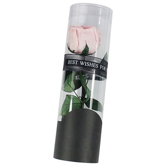 Barhoo Red Rose Flower in Glass Dome with Valentine's Day Lights ...