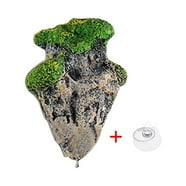 Lily Clear View Hexagon Wood Fish Tank Decor: Large-Window Garden ...