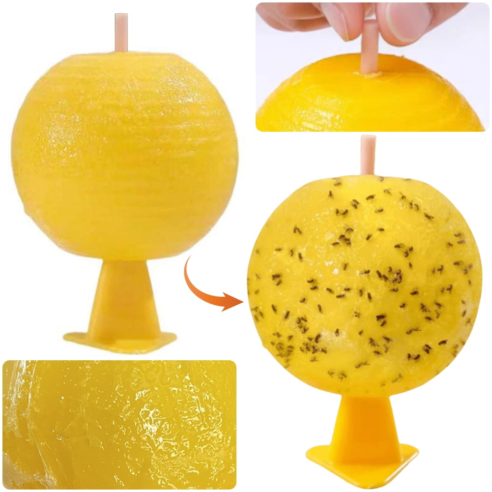 Baright Fruit Fly Traps Sticky Traps Citrus Shaped for Indoor Outdoor ...