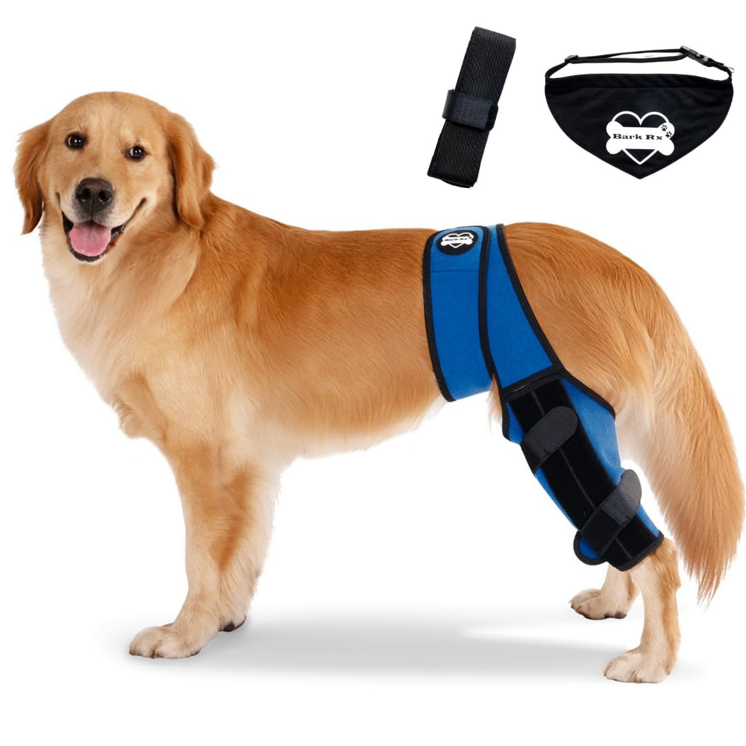 Bark Rx: Dog Knee STF9 Hind Leg - Orthopedic for Dogs - Integrated ...