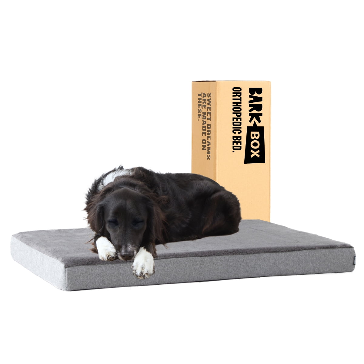 Barkbox Memory Foam Platform Dog Bed, Large - Walmart.com