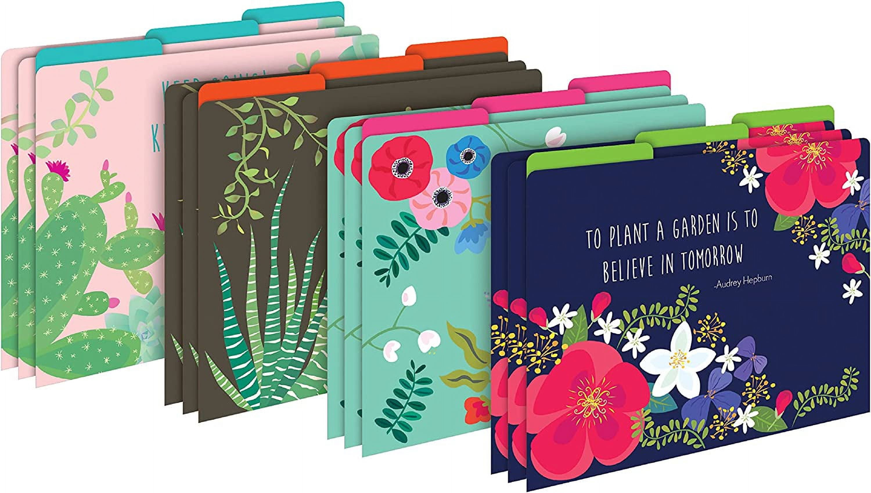 Barker Creek Designer File Folders Set of 12, Petals & Prickles, Multi ...