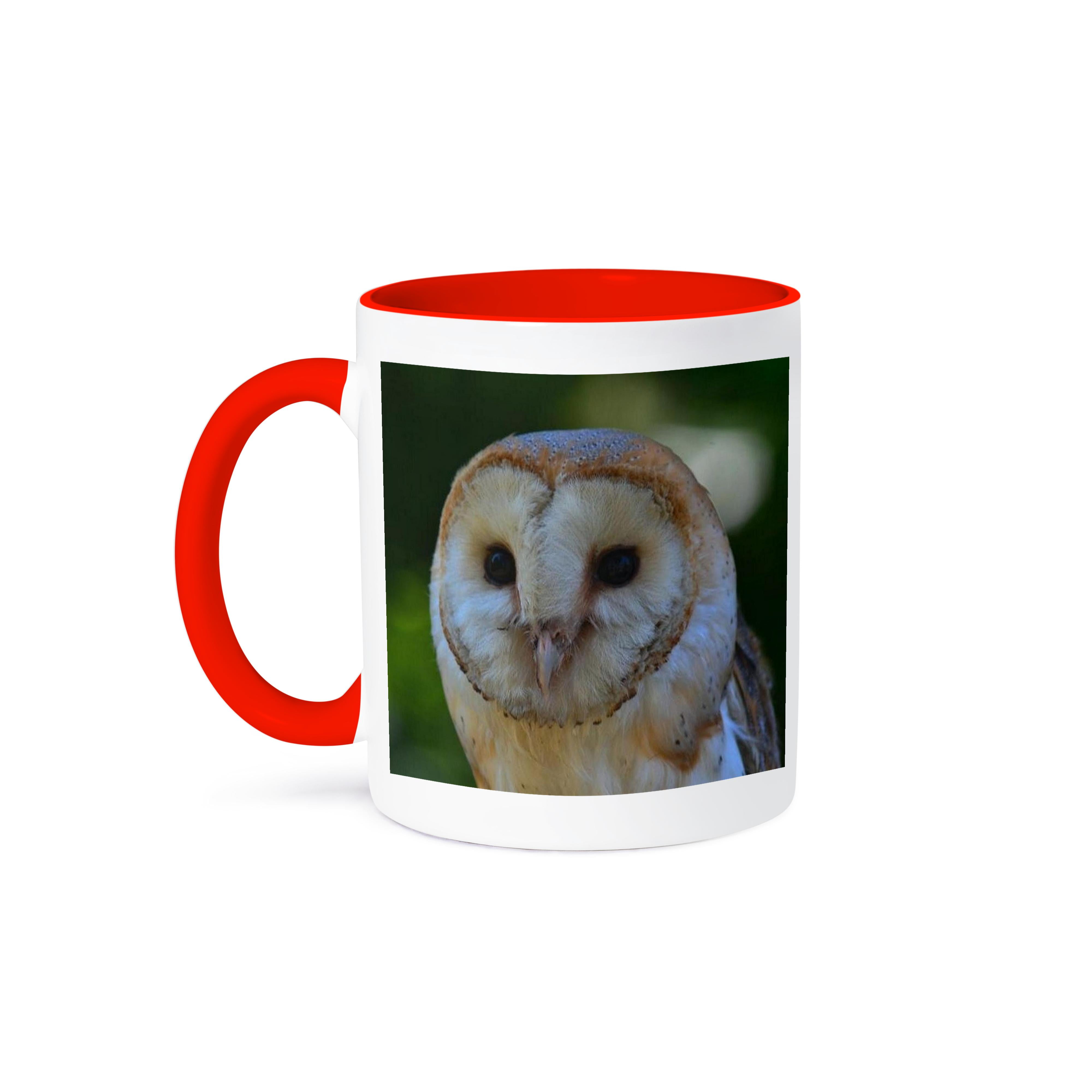 3dRose, Barn Owl A close up portrait photograph of a barn owl against a ...