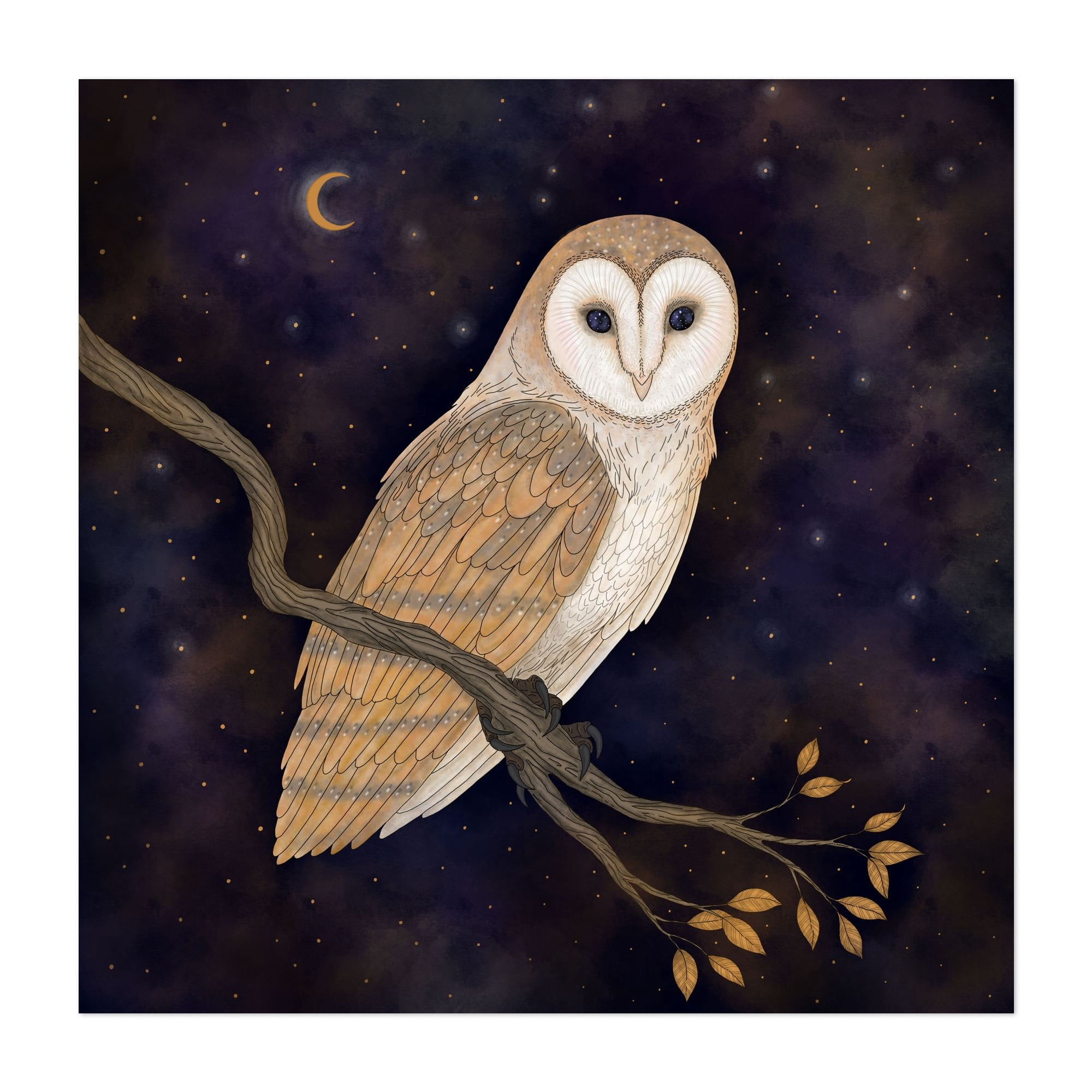 Barn Owl - Illustration Night Sky Wildlife Mystical Stars Moon Unframed ...