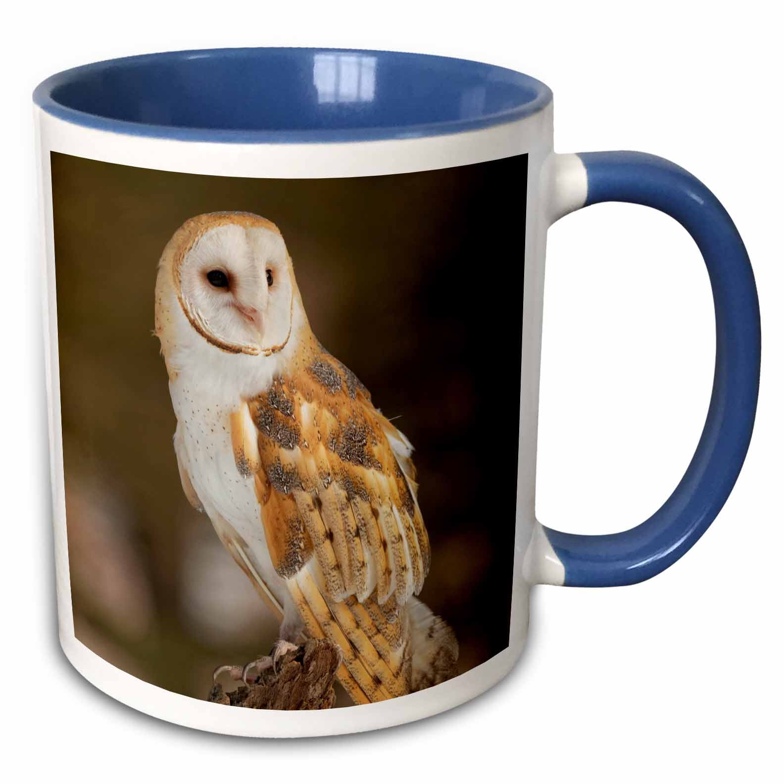 3drose, Barn Owl, Tyto Alba, Montana, 15oz Two-tone Blue Mug - Walmart.com