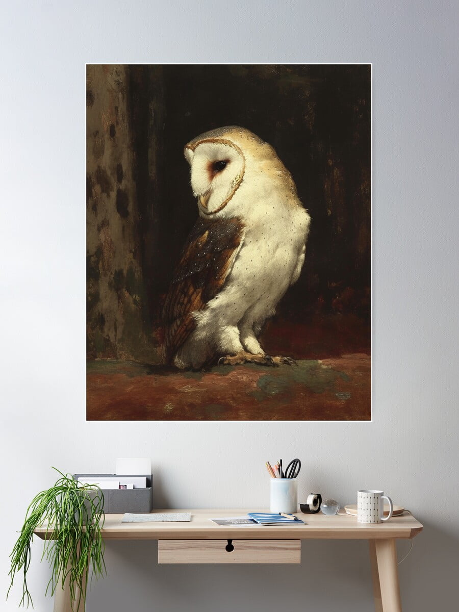 Barn Owl Victorian White Owls Bird Poster Wall Art, Modern Wall Decor ...