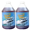 Quality Chemical Barnacle Buster Marine Growth Remover, 2 Gallon Case ...