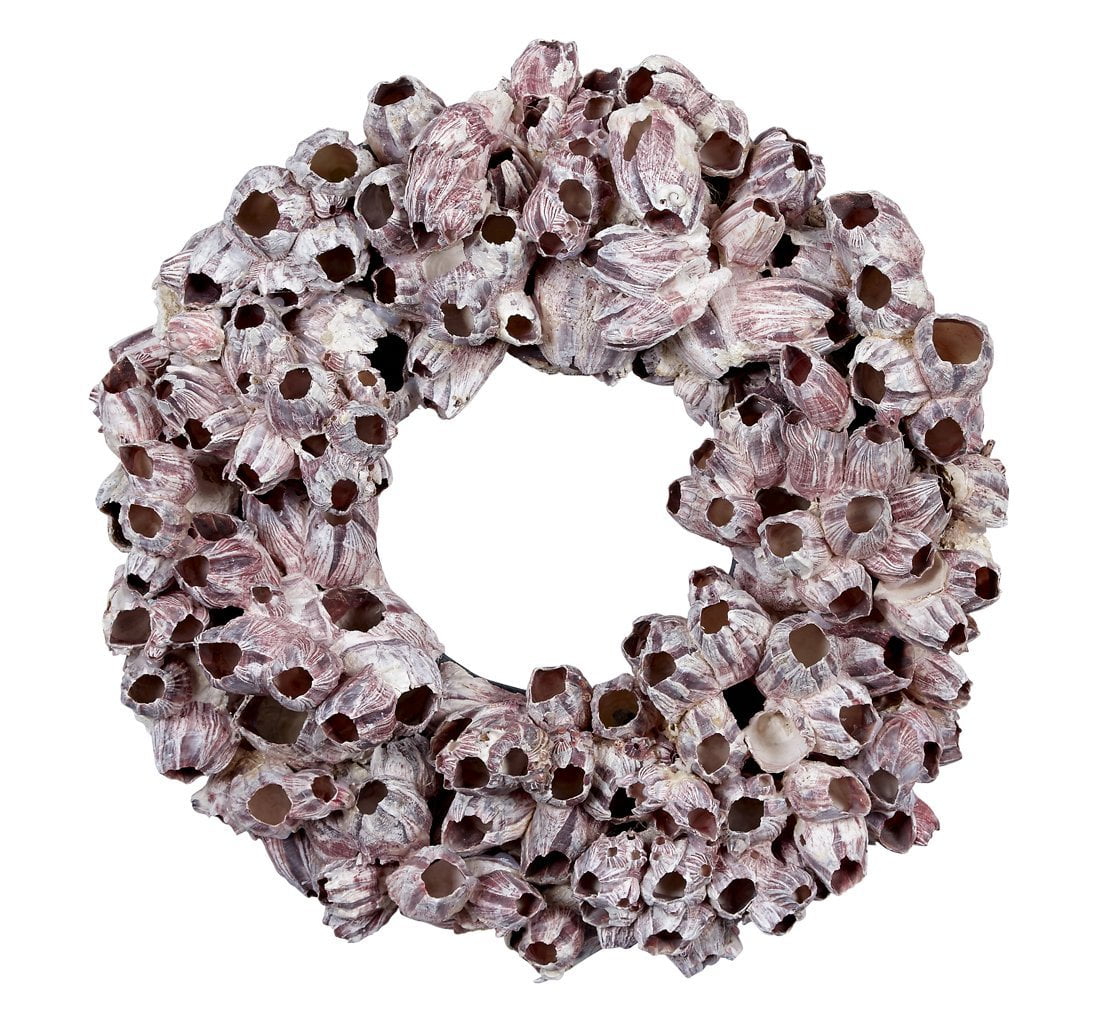The Seashell Company Decorative Barnacle Clusters Wreath 15" in Crate ...