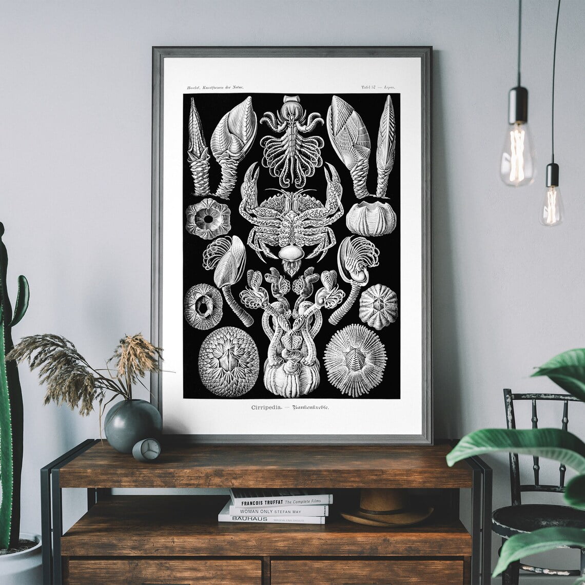 Barnacle Shells Art Print, Ocean Wall Art, Nautical Decor, Minimal ...