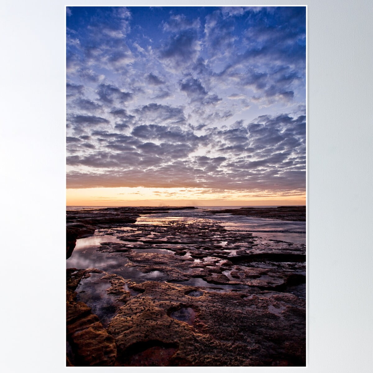 Barnacles Poster Wall Art, Modern Wall Decor For Living Room Bedroom ...