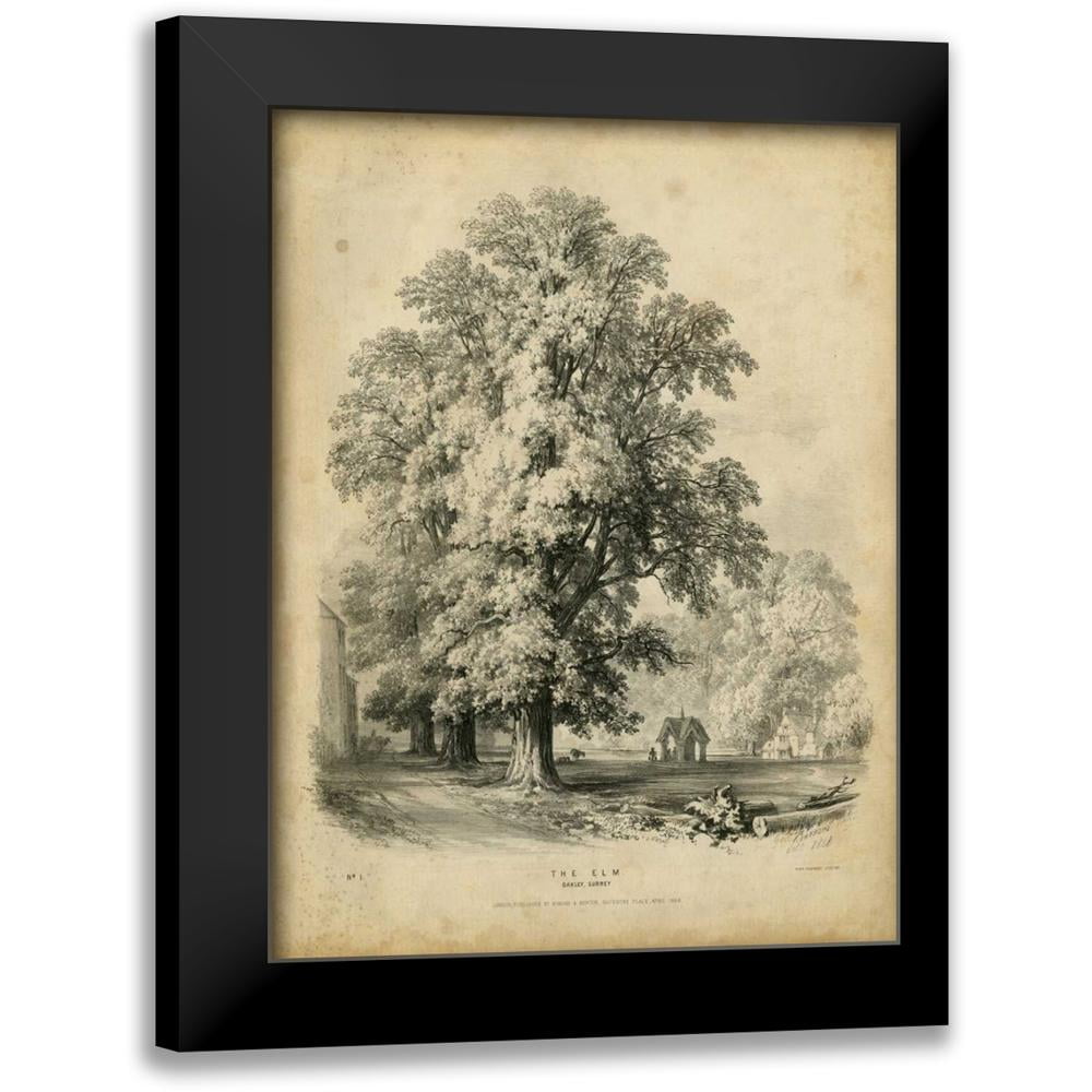 Barnard, George 12x14 Black Modern Framed Museum Art Print Titled - The ...