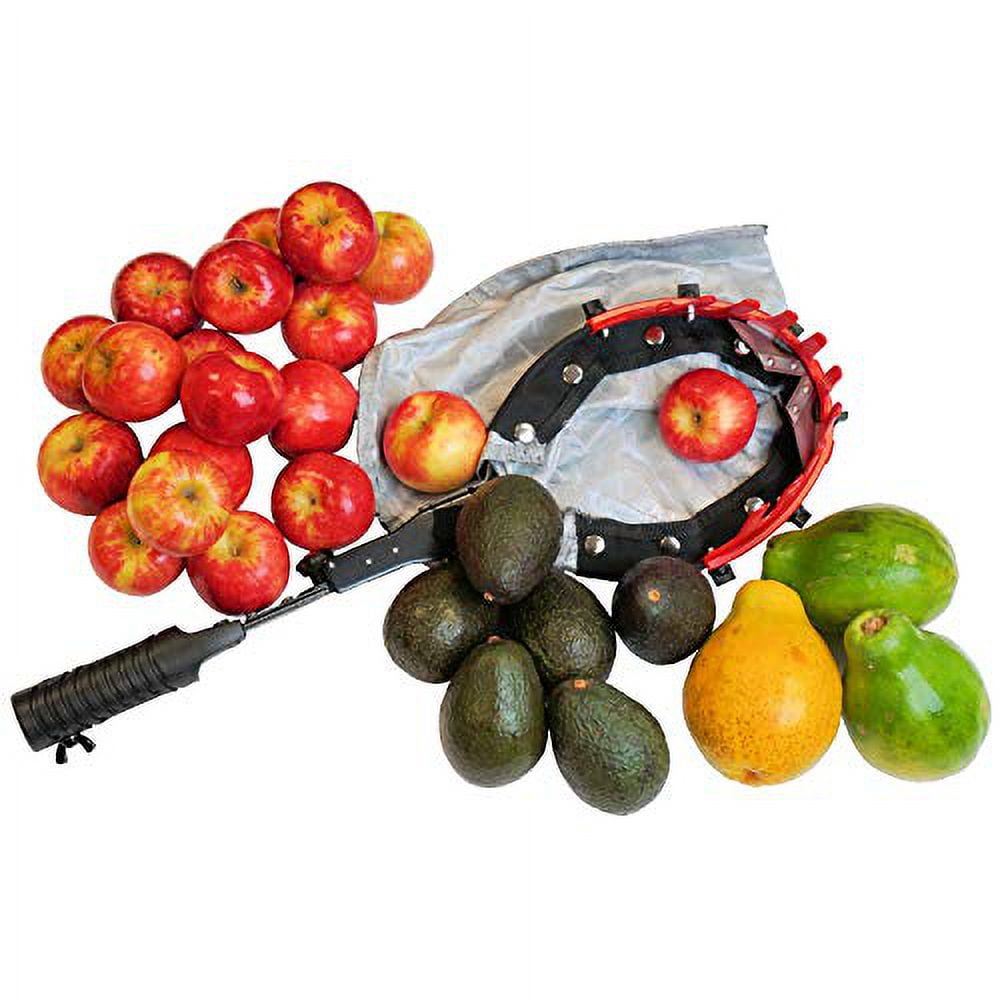 Barnel USA B277Z Fruit and Vegetable Picker Head - Walmart.com