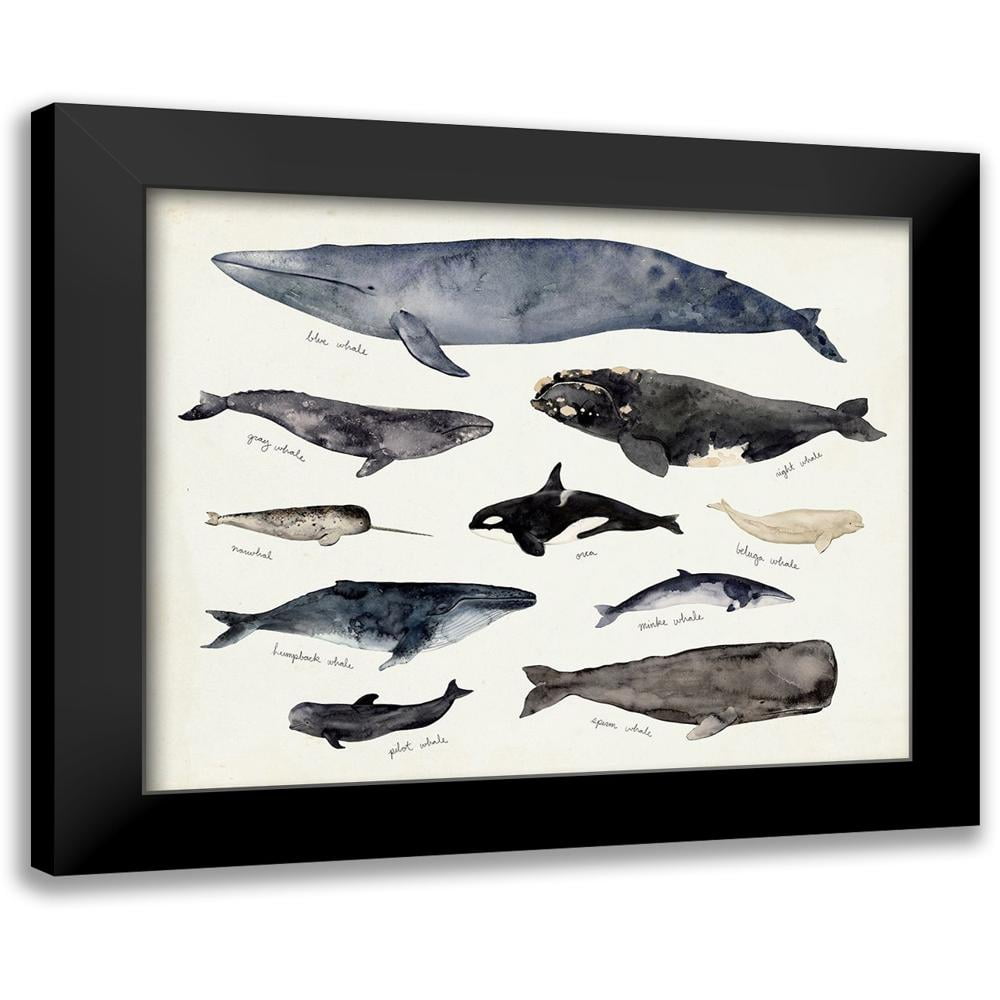 Barnes, Victoria 18x15 Black Modern Framed Museum Art Print Titled ...