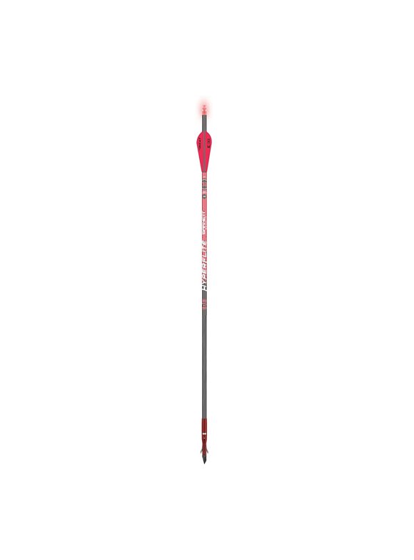 Arrows in Arrows and Bows - Walmart.com