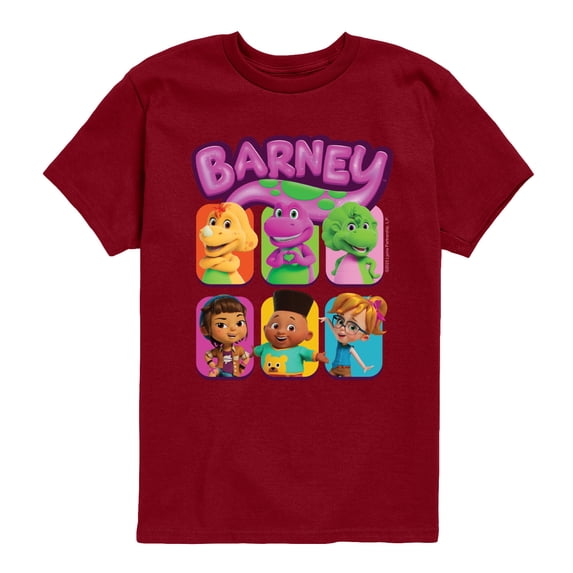 Barney - Cgi Grid - Youth Boys Short Sleeve Graphic T-Shirt - Walmart.com