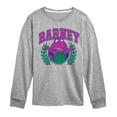 Barney - Collegiate - Youth Boys Long Sleeve Graphic T-Shirt - Walmart.com