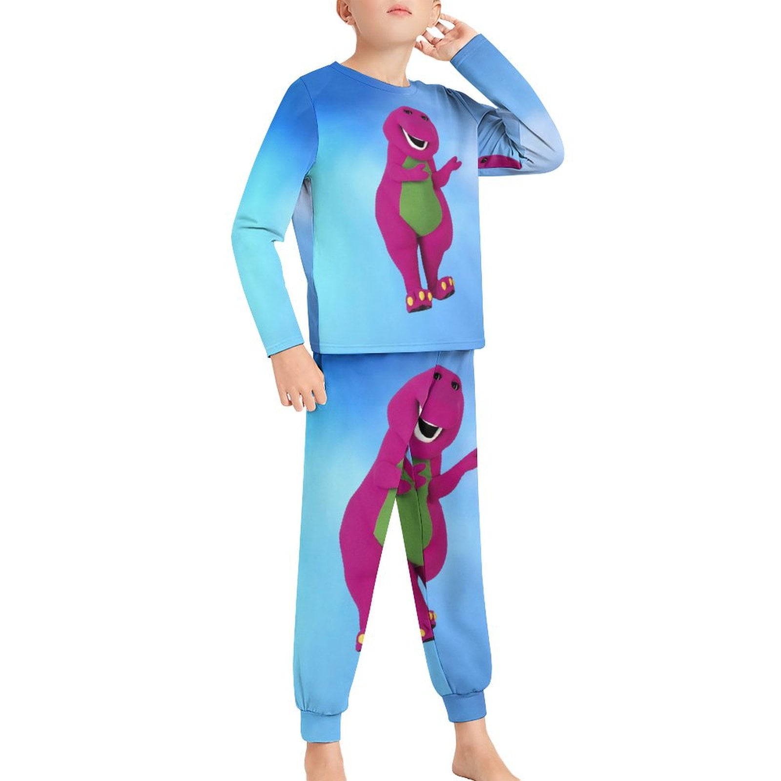 Barney Dinosaur Friends Costumes T Shirt Set Crewneck Tee Shirt Pants ...